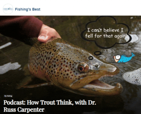 Rainbow Trout GIFs - Get the best GIF on GIPHY