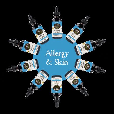 Anime-sorry GIFs - Get the best GIF on GIPHY