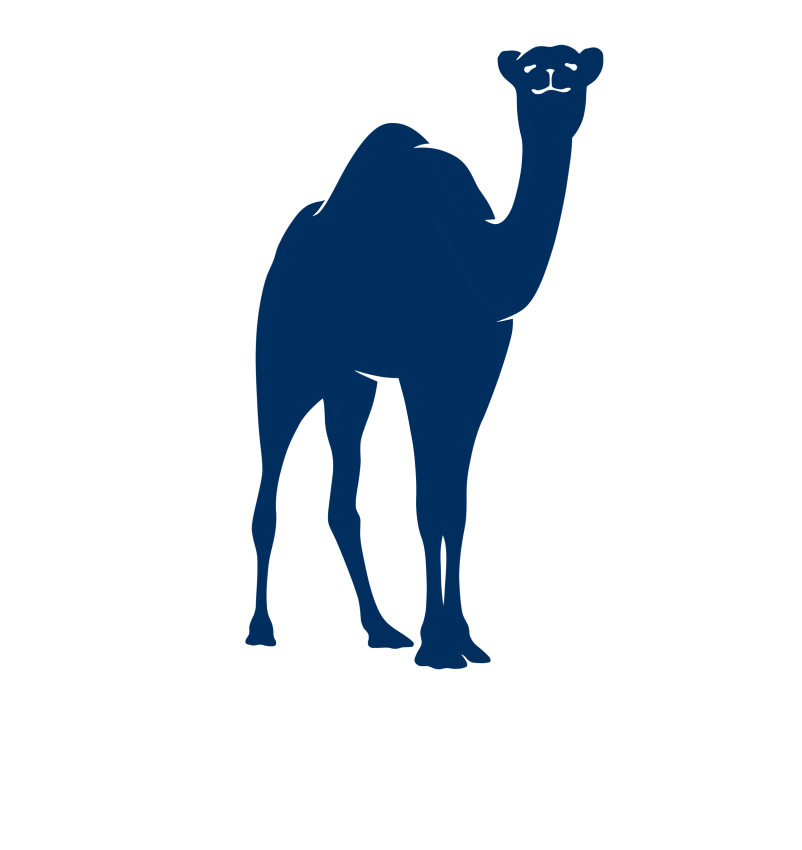 Camels Conncoll Sticker by Connecticut College for iOS & Android | GIPHY