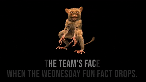 Wednesday Fun GIFs - Get the best GIF on GIPHY