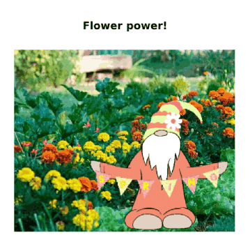 Flowers Gardening GIF - Find & Share on GIPHY