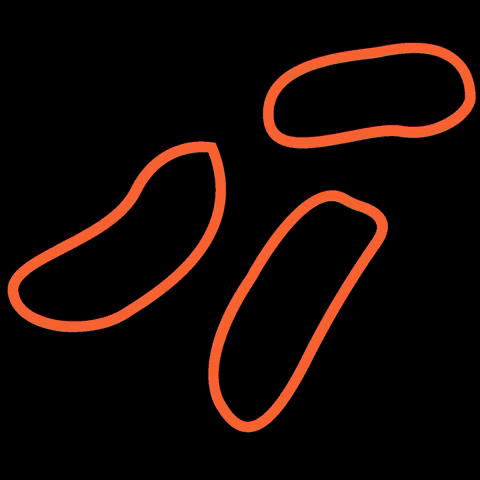 KIM GIFs on GIPHY - Be Animated