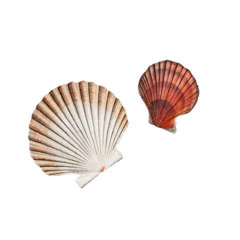 have you heard the call GIFs on GIPHY - Be Animated