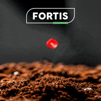 Gif De Choque Choquer GIFs Find & Share On GIPHY