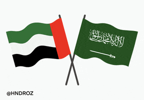 Saudi Arabia Flag GIFs - Find & Share on GIPHY