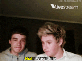 Twitcam GIFs - Get the best GIF on GIPHY