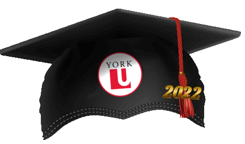 York University GIFs - Find & Share on GIPHY