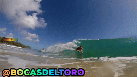 Surfergirl GIFs - Get the best GIF on GIPHY