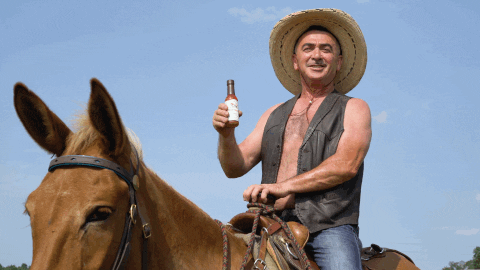 Jalisco-mule GIFs - Get the best GIF on GIPHY