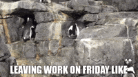 Leaving Work On Friday Like Gif