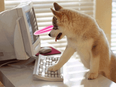 Tech Dog GIFs - Get the best GIF on GIPHY