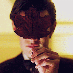 Leaf GIFs - Find & Share on GIPHY