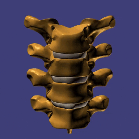 EOM Brasil GIFs on GIPHY - Be Animated