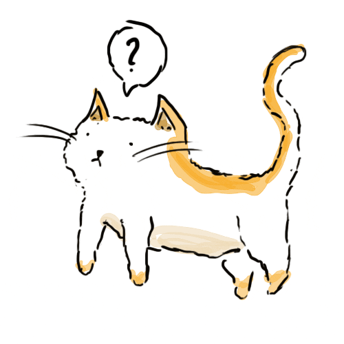 Cat What GIF by hoppip - Find & Share on GIPHY