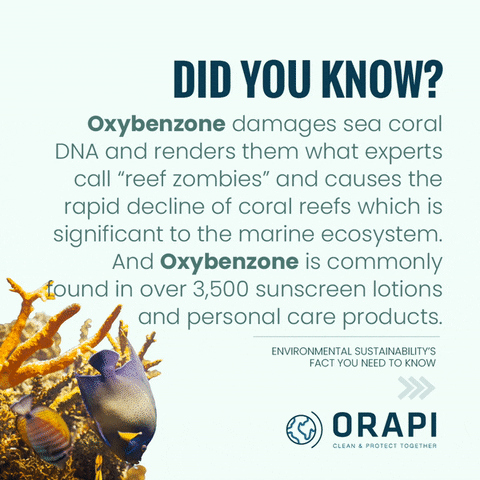 Market-disruption GIFs - Get the best GIF on GIPHY