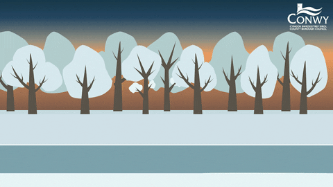 Conwy County Borough Council GIFs - Get the best GIF on GIPHY