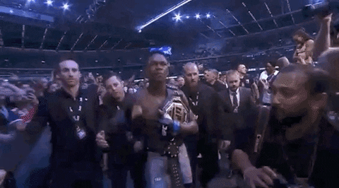 Ufc 243 GIFs - Get the best GIF on GIPHY