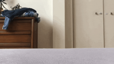 Sneaky-ninja GIFs - Get the best GIF on GIPHY