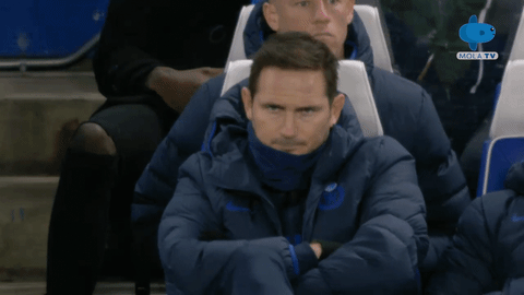 Celebration Reaction GIF by MolaTV - Find & Share on GIPHY