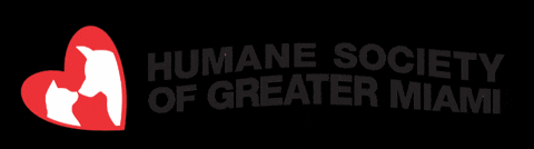 HSGM Branding/Logo GIFs on GIPHY - Be Animated