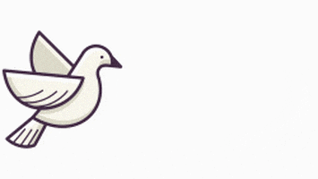 Pigeon Sky GIFs - Get the best GIF on GIPHY