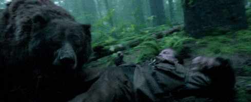 Revenant-Bear GIFs - Find & Share on GIPHY