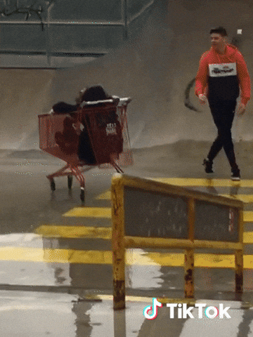 Flop Fml GIF by TikTok France - Find & Share on GIPHY