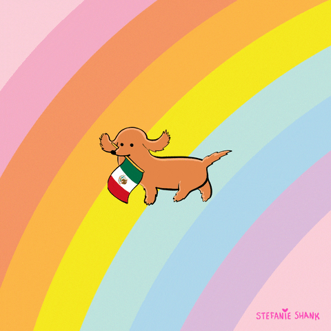 Rescate De Perro Terremoto Sismo GIFs - Get the best GIF on GIPHY