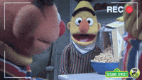 Sesame Street Bert Stare