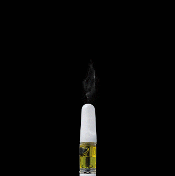 Cbd Oil Smoking GIF by Experience CBD - Find & Share on GIPHY