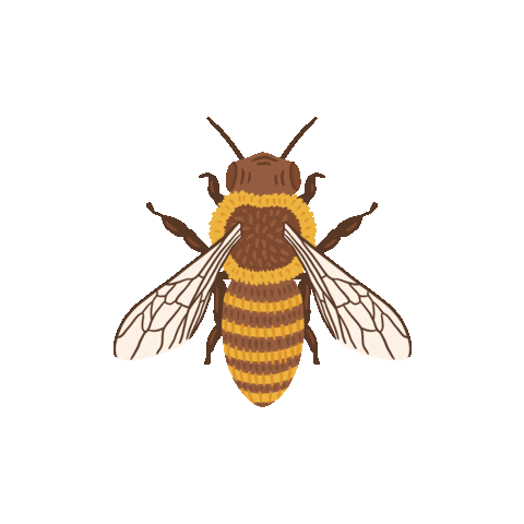 Honey Bee Sticker for iOS & Android | GIPHY