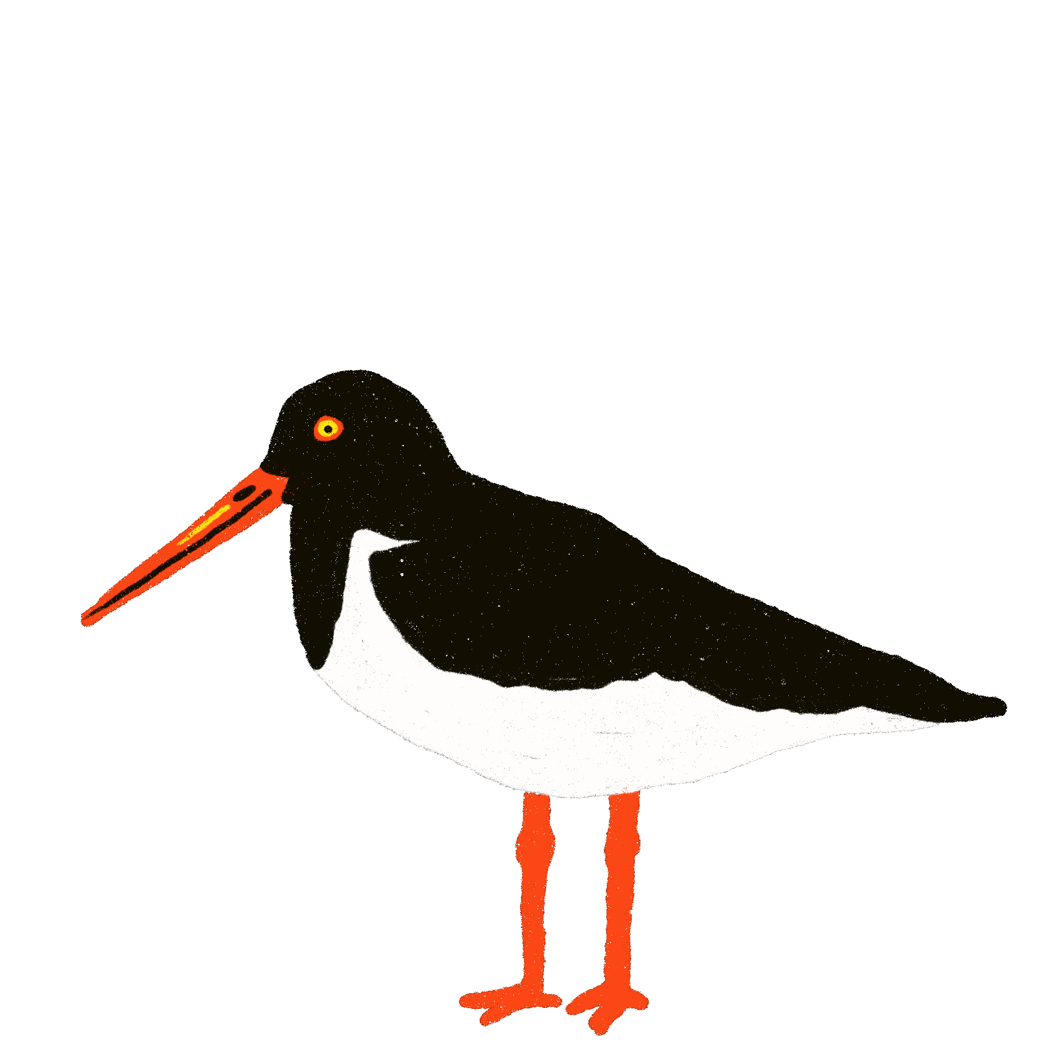 Bird Sticker by Please Enjoy This! for iOS & Android | GIPHY