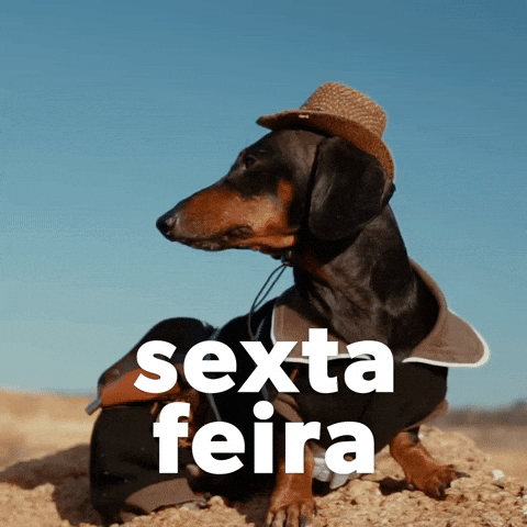 Portuguese GIFs - Get the best GIF on GIPHY
