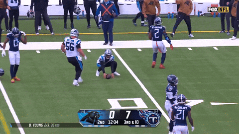 Carolina Panthers GIFs on GIPHY - Be Animated