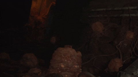 Page Dgame Of War Gifs Find Share On Giphy