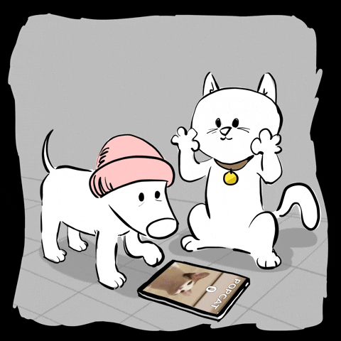 Pets GIFs on GIPHY - Be Animated