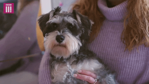 Hot Property GIFs - Get the best GIF on GIPHY