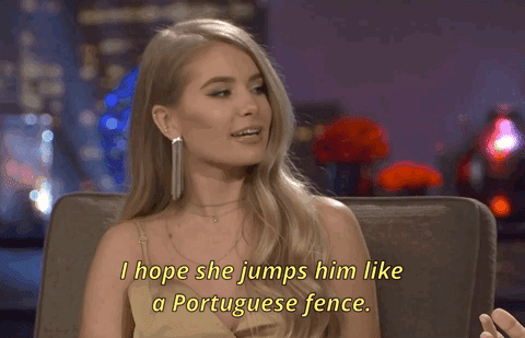 Jumping-fences GIFs - Get the best GIF on GIPHY