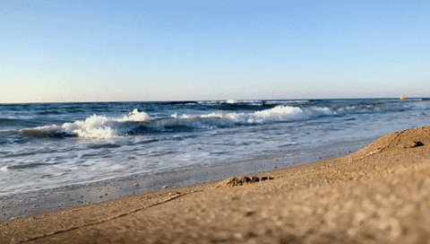 Beach Sea GIF by Mamamal3 - Find & Share on GIPHY