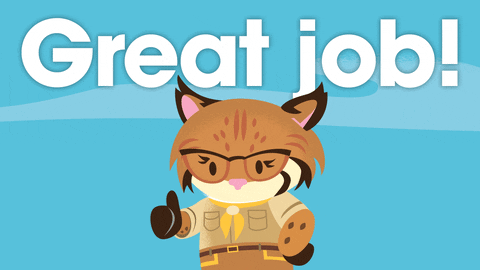 Cat Approved GIFs - Get the best GIF on GIPHY