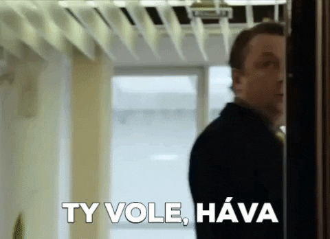 Ty-vole GIFs - Get the best GIF on GIPHY