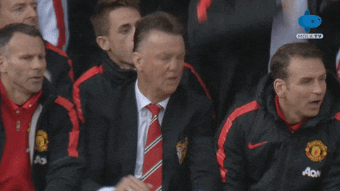 Celebration Reaction GIF by MolaTV - Find & Share on GIPHY