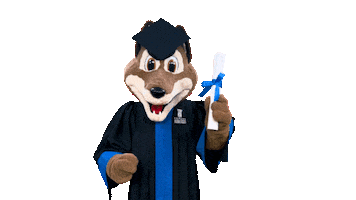 udst GIFs on GIPHY - Be Animated