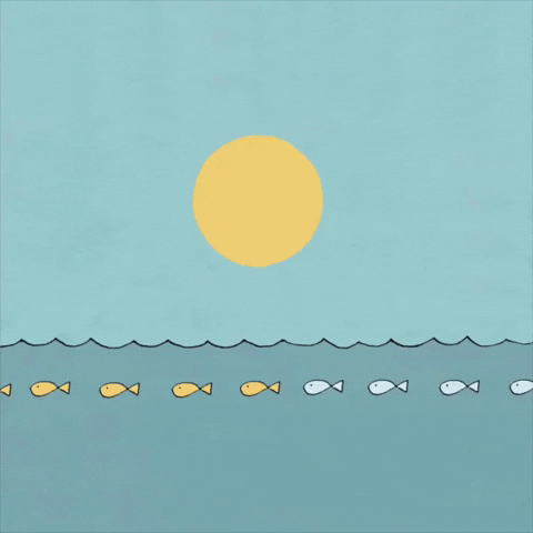 Sun Drip GIFs - Get the best GIF on GIPHY