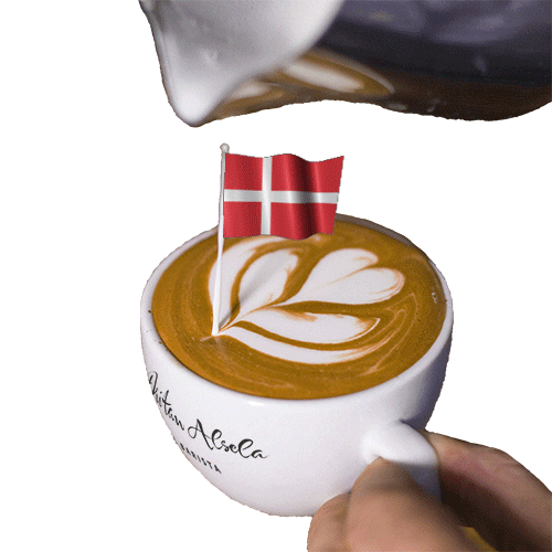 Flag Of Denmark GIFs - Get the best GIF on GIPHY