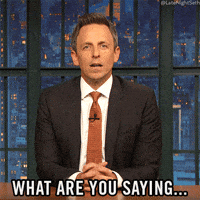 What Did You Say Gif