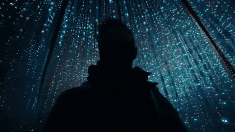 Borderless GIFs - Get the best GIF on GIPHY