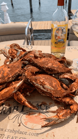 Seafood Crabs GIF by The Crab Place - Find & Share on GIPHY