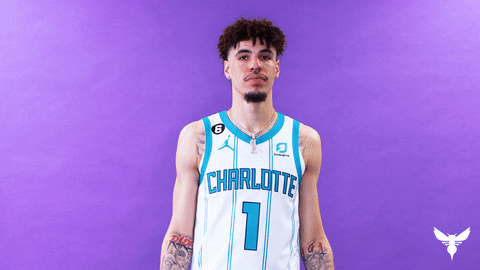 Lamelo Ball Shrug GIF by Charlotte Hornets - Find & Share on GIPHY