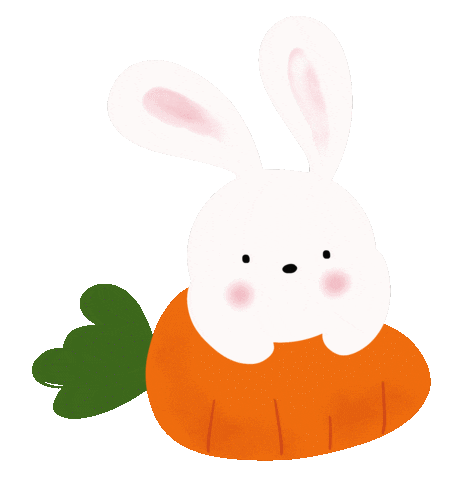 Baby White Bunny Gif